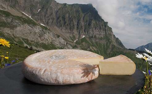 Reblochon de Savoie AOC et AOP - Reblochon
