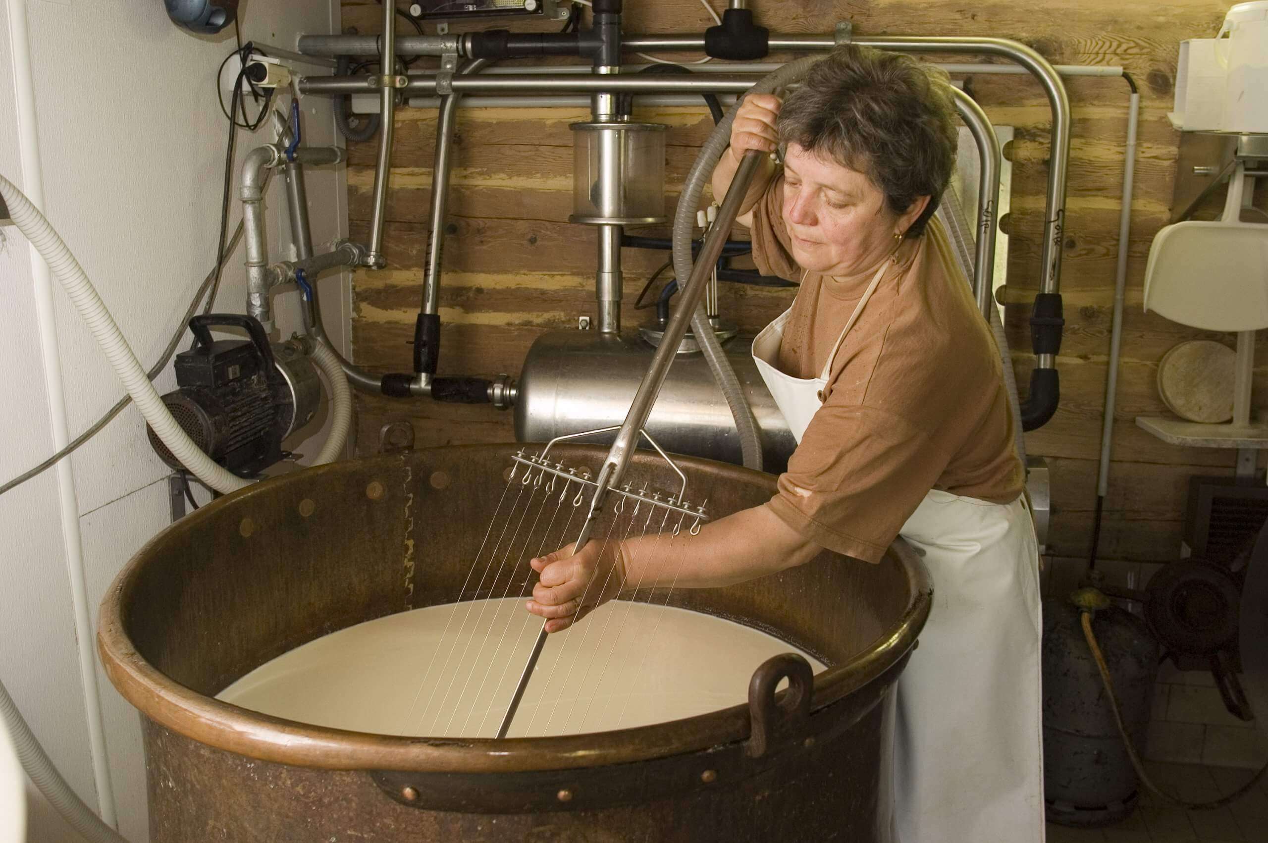 Les avantages des fromages au lait cru